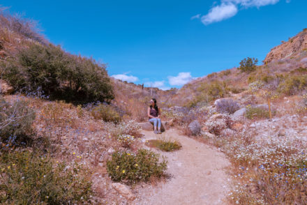Exploring the Morongo Basin of San Bernardino County (Sand to Snow ...