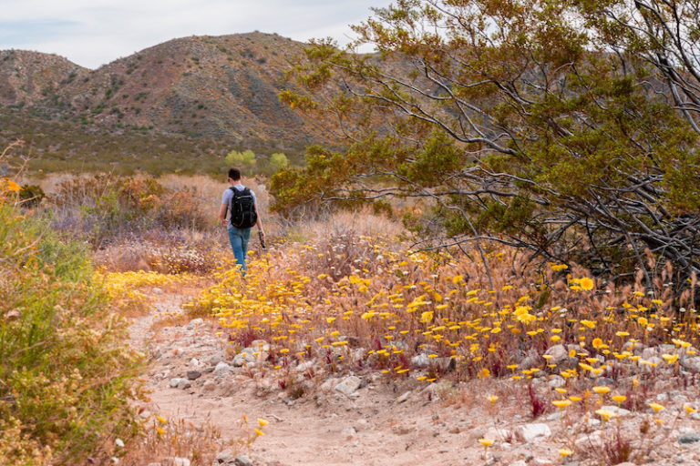 Exploring the Morongo Basin of San Bernardino County (Sand to Snow ...