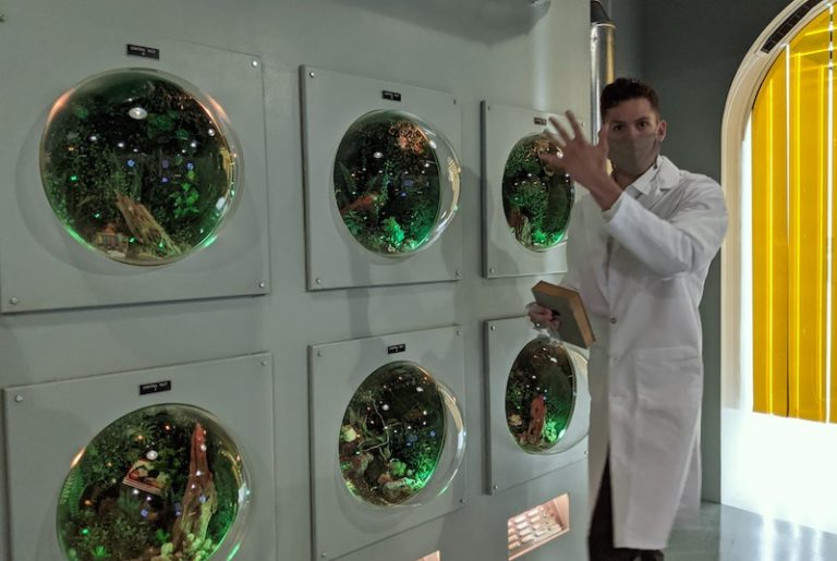 The Arts District's 'Madcap Motel' is Trippy Retro Fun