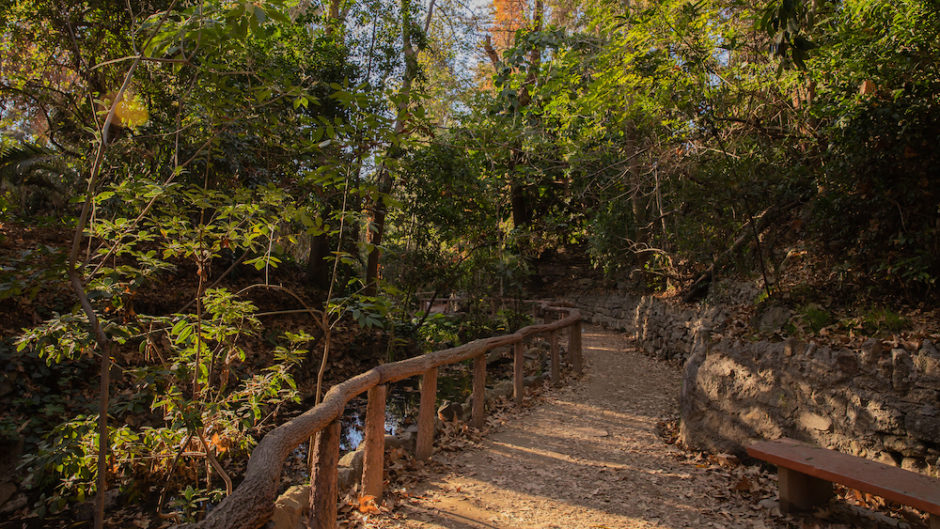 Walking Fern Dell to Griffith Observatory | L.A. on Foot #3