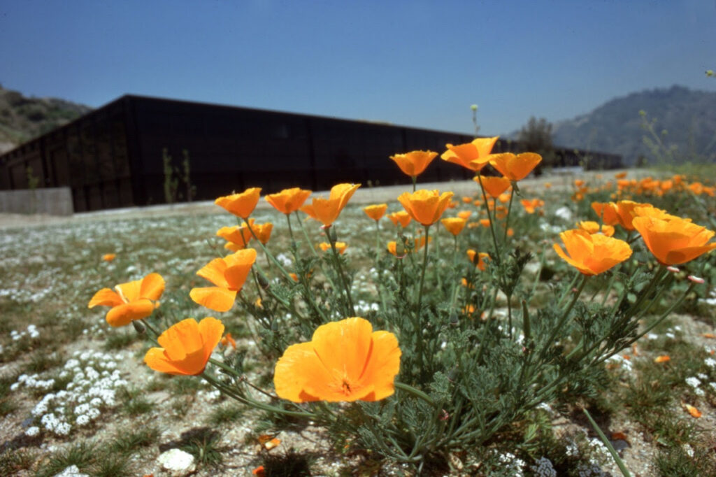 poppies-art-center-pasadena - WE LIKE L.A.